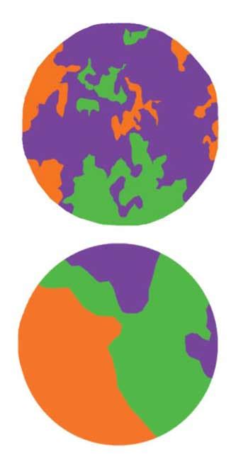 Variable Rate Seeding Easier Than You Think Crop Quest
