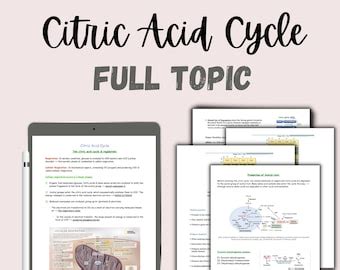 Citric Acid Etsy