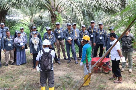 Ipb Training Bpdp Dan Ditjenbun Bekali Kemahiran Teknis Budidaya