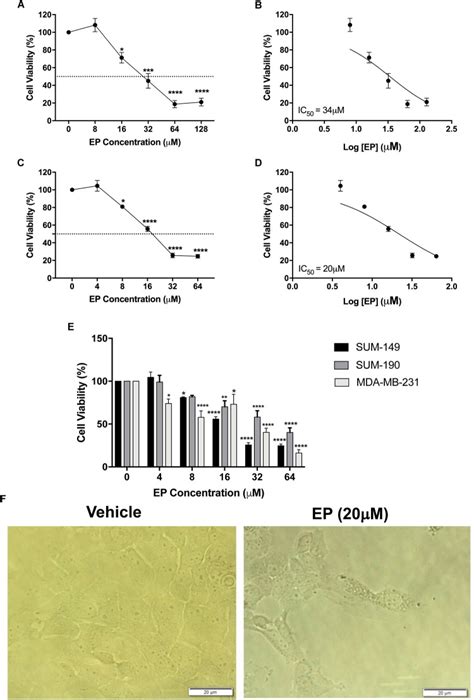 Identification Of Biologically Active Ganoderma Lucidum Compounds And