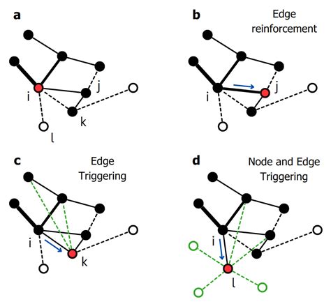 The Dynamics Of Higher Order Novelties Iacopo Iacopini