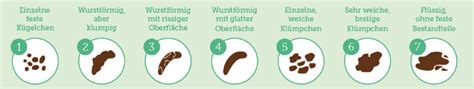 Stuhlgang Viele Kleine Würste Quotes Viral
