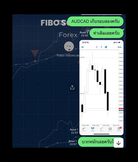 Sale Page Fibonacci Scalping Fx Trading Bkk
