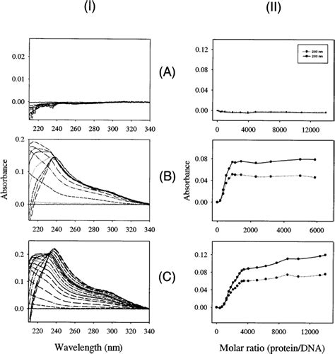 Differential Spectra I And Absorptionconcentration Profiles Ii Of