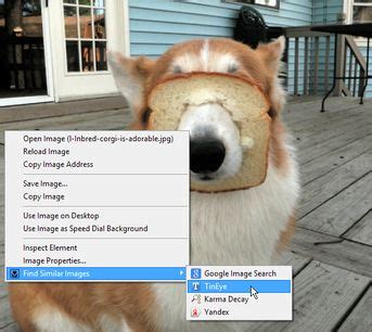 Reverse Image Search Extension Opera Add Ons