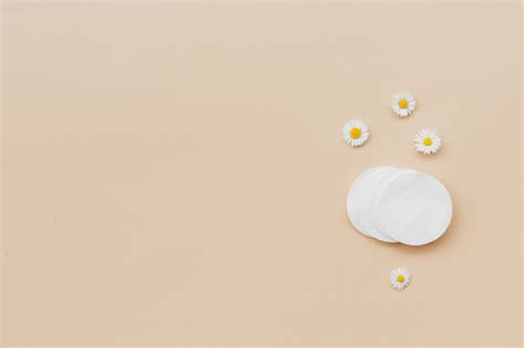 베이지 색 배경의 면 패드와 신선한 카모마일 플랫 레이 상단 보기 복사 공간 여성 건강 관리 0명에 대한 스톡 사진 및 기타 이미지 Istock
