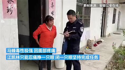 民警进山办案被马蜂蜇伤睁一只眼闭一只眼忍痛完成任务 凤凰网视频 凤凰网
