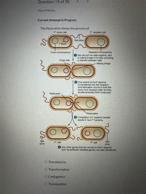 Solved Transduction Transformation Conjugation Transposition