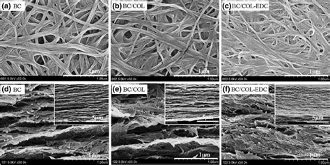 Sem Micrographs Of The Surfaces And Cross Sections Of Bc Bccol And