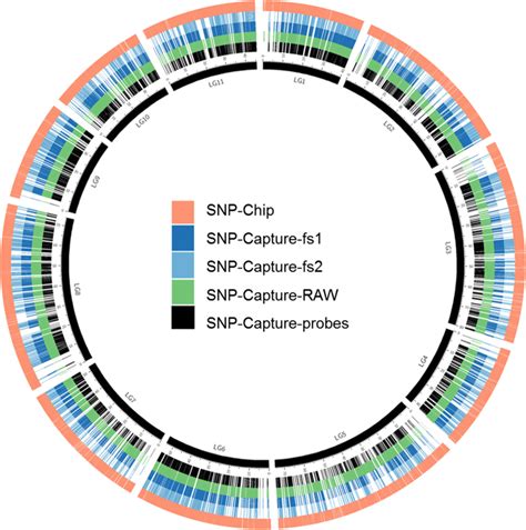 Marker Distribution Of Snp Chip Snp Capture Fs1 Snp Capture Fs2 And Download Scientific