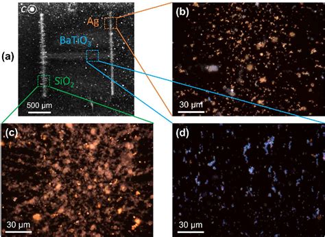 Figure 2 From Combinatorial Nanoparticle Patterns Assembled By Photovoltaic Optoelectronic
