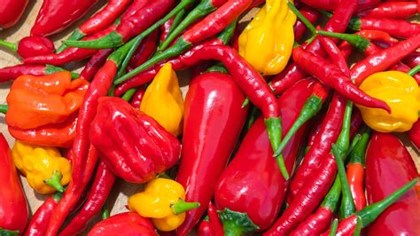Types Of Red Hot Peppers 18 Types Of Peppers And How To Cook With Them
