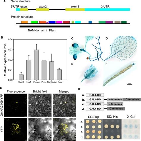 Tissue Specific Expression Subcellular Localization Analysis And