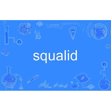 Squalid 百度百科