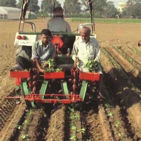 Pdf Automation In Transplanting A Smart Way Of Vegetable Cultivation