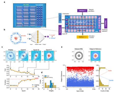 In Situ Machine Learning With Tiio Ann A Left Microscopic Image Of Download Scientific