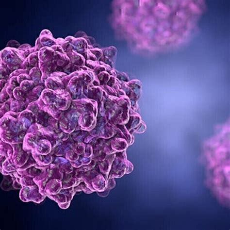 Innovative Aav Production Service For Targeted Gene Delivery Labmate Online