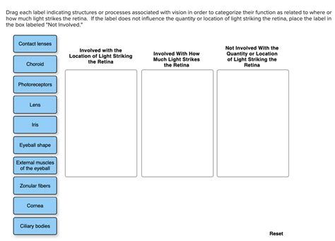 Solved Drag Each Label Indicating Structures Or Processes