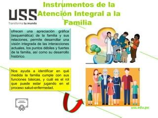 Instrumento De Ais Apgar Familiar Comunitario Ppt