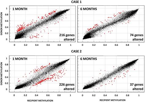 Promoter Dna Methylation Profiling Using Bead Arrays And Differential