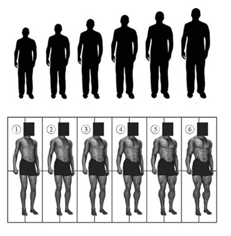 Top Array Used By Participants To Estimate Overall Size Bottom Array