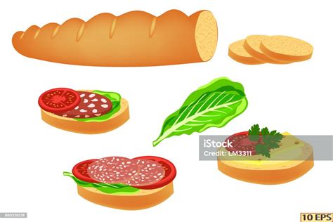 버터 소시지 치즈 토마토 파 슬 리와 샌드위치 소시지와 맛 있는 샌드위치 아침 신선한 샌드위치입니다 소시지와 치즈 롤빵입니다 슬라이스된 롤빵입니다 바게트에 대한 스톡 벡터