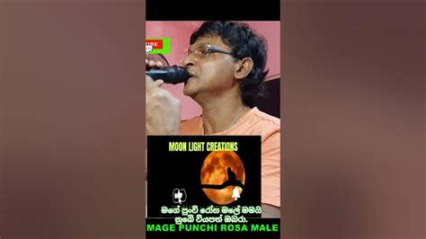 මගේ පුංචි රෝස මලේ මමයි නුඔෙි වියපත් ඔබරා Youtube