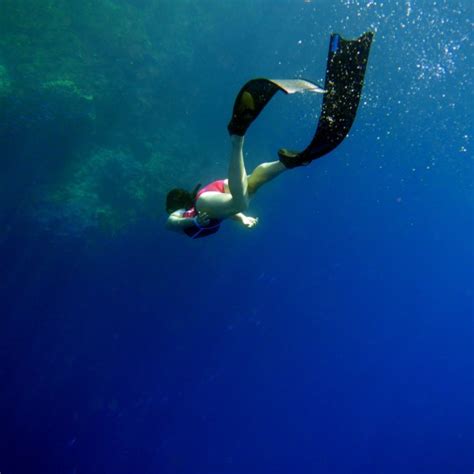 세부 모알보알 마이웨이 프리다이빙