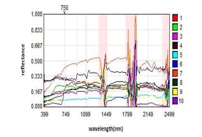 Spectral Signatures Of Example 10 Classes 12 Download Scientific Diagram