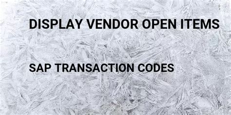 Display Vendor Open Items Tcode In SAP Transaction Codes List
