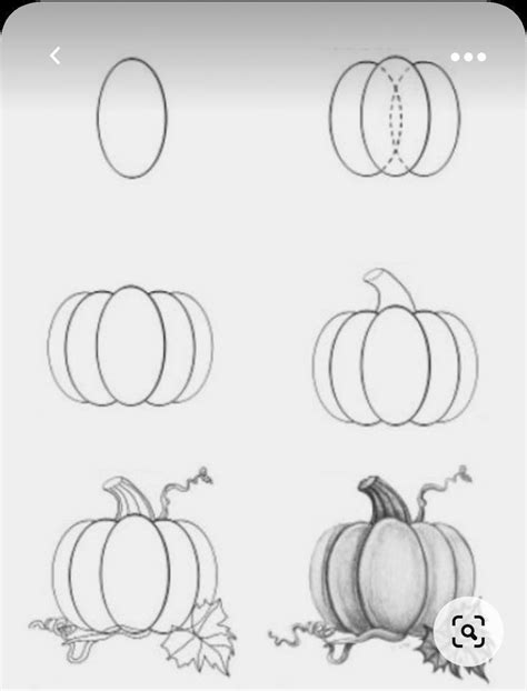 Pumpkin Patch Drawing Simple