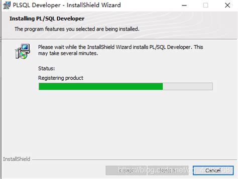 Oracle连接工具plsqlnavicat安装与连接配置 Csdn博客