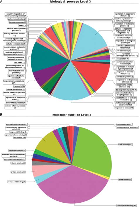 Gene Ontology Go Graphs Using Percent Third Level Go Terms Overall Download Scientific