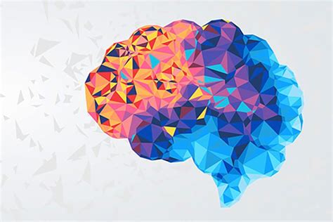 Developmental Affective Motor Memory And Imaging Dammi Lab School Of Behavioral And Brain