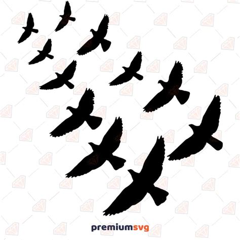 Feather With Birds Svg Cutting File Premium Svg