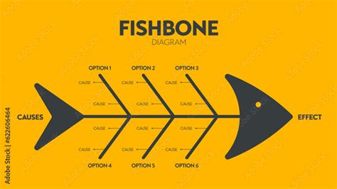 The Vector Featured A Fish Skeleton A Template Is A Tool To Analyze