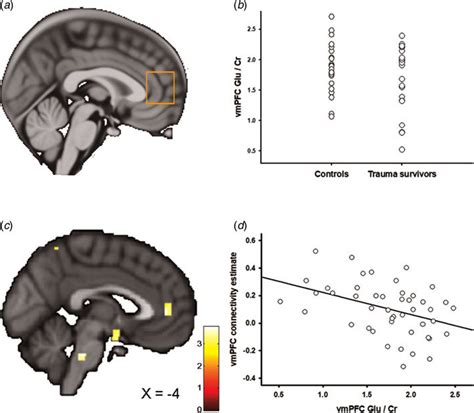 Ventromedial Prefrontal Cortex Vmpfc Glutamate And The Association Download Scientific