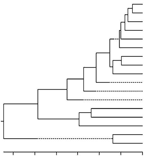 Dendrogram Representation Of The Sequence Similarities Between Gene