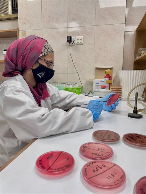 Nazaha Izdihar Amatullah On Linkedin Culturing My Own Bacteria