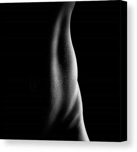 Fine Art Nude Woman Bodyscape 15 Canvas Print Canvas Art By Az