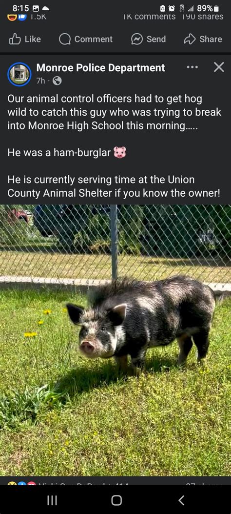 This Was In Fact A True Occurrence Album On Imgur