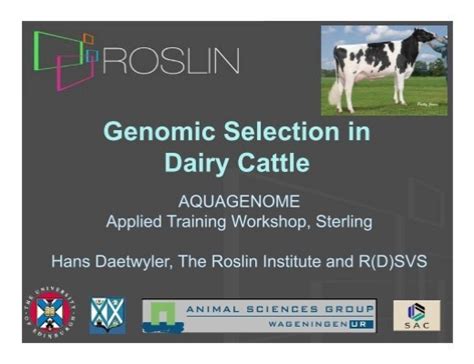 Genomic Selection In Dairy Cattle