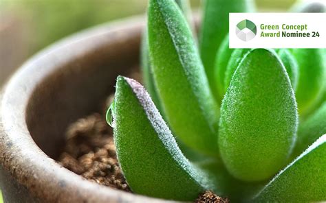 Cup System Definition At Guillermo Odea Blog