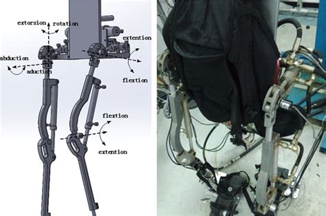 The Lower Extremity Exoskeleton Download Scientific Diagram
