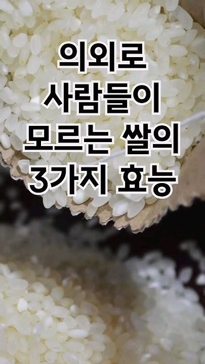 늘 먹는 쌀의 숨겨진 효능 Youtube