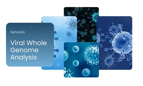 Viral Whole Genome Analysis