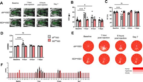 Left Ventricular Structure Function And Regional Wall Motion In Model Download Scientific