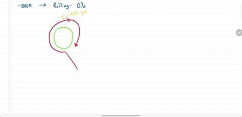 Solveddraw A Molecule Of Dna Undergoing Rolling Circle Replication On Your Drawing Identify