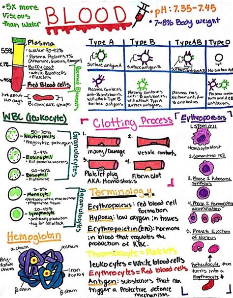 Nursing School Notes Artofit