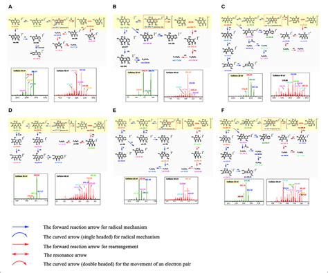 Msms Spectra At 20 And 40 Ev And Structural Elucidation For The